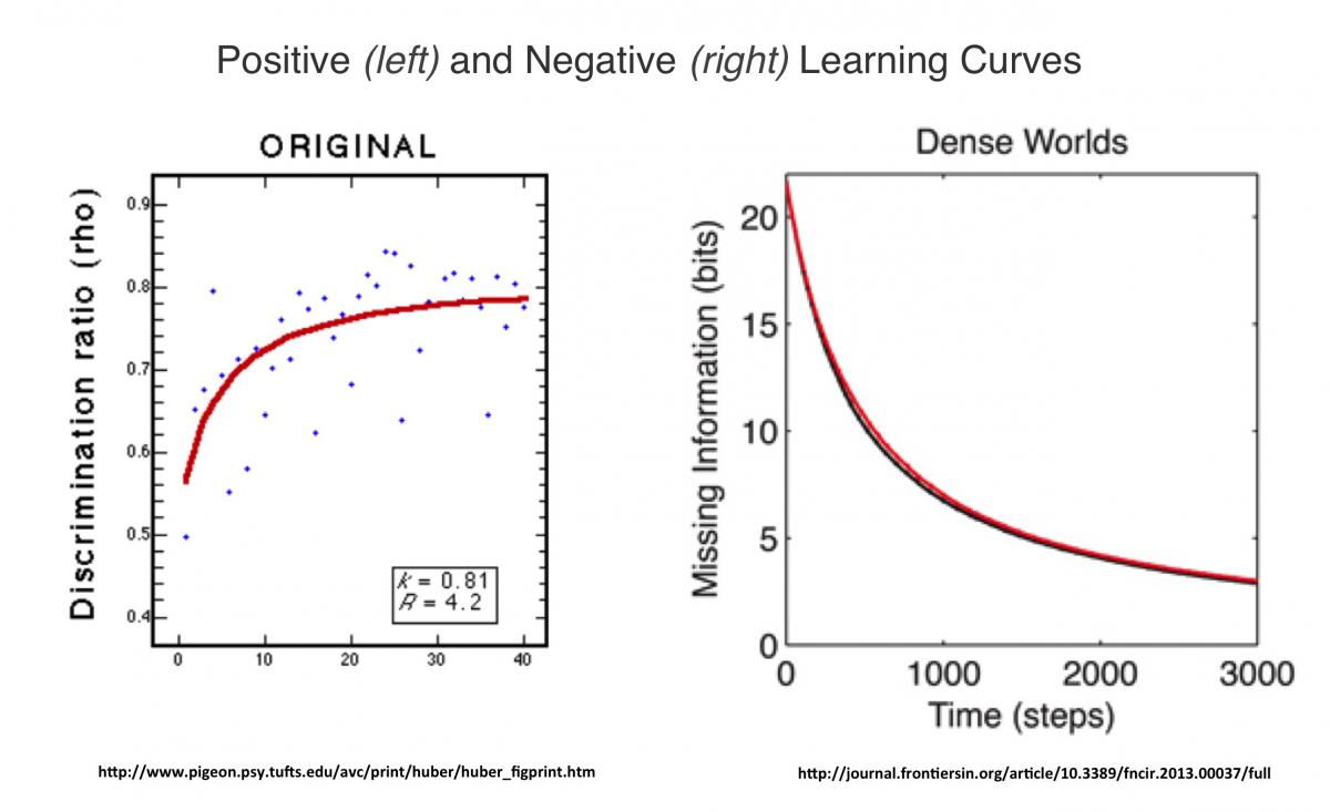 the-learning-curve-aubrey-daniels-international